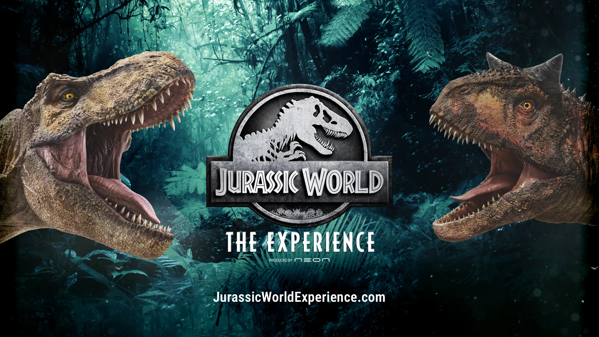 Inside the Experience